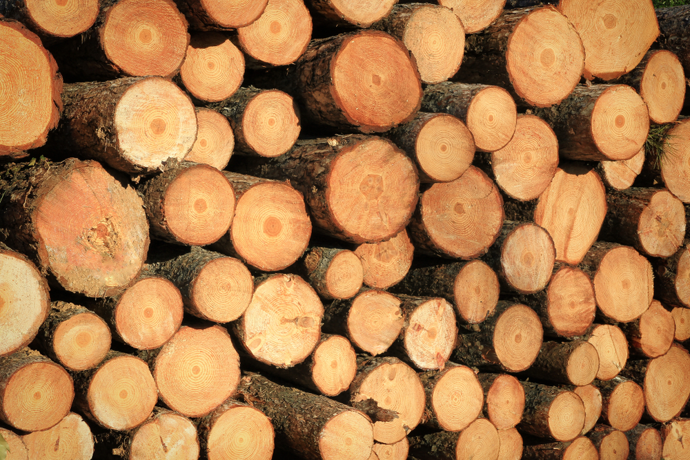 Full Dimension Lumber - South Side Lumber Co Inc